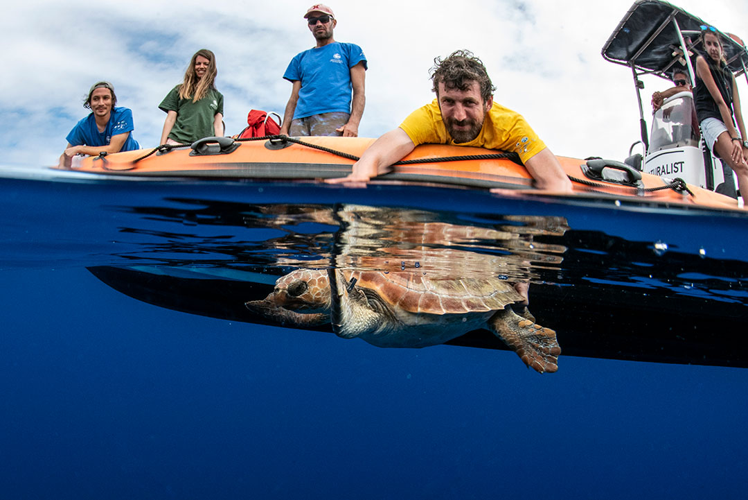Outreach and awareness raising (2026) - COnsolidating Sea Turtle ...